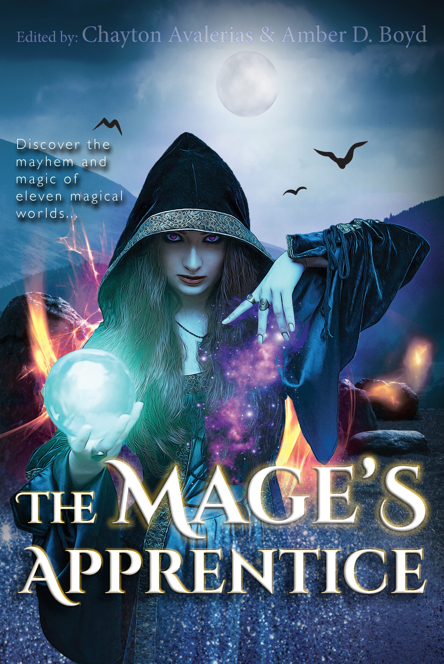 The Mage’s Apprentice – Port & Key Publishing